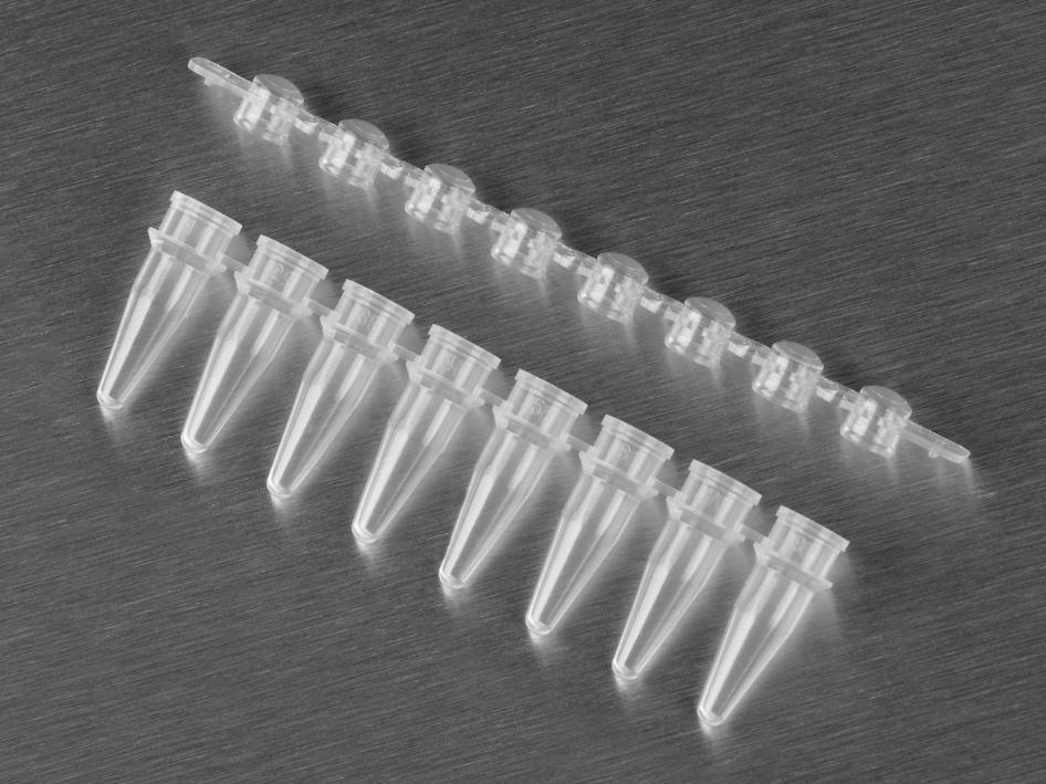 0.2ml Thin Wall Clear PCR Strip Tubes and Clear Strip Caps. – Appleton Woods | UK Lab Supplies
