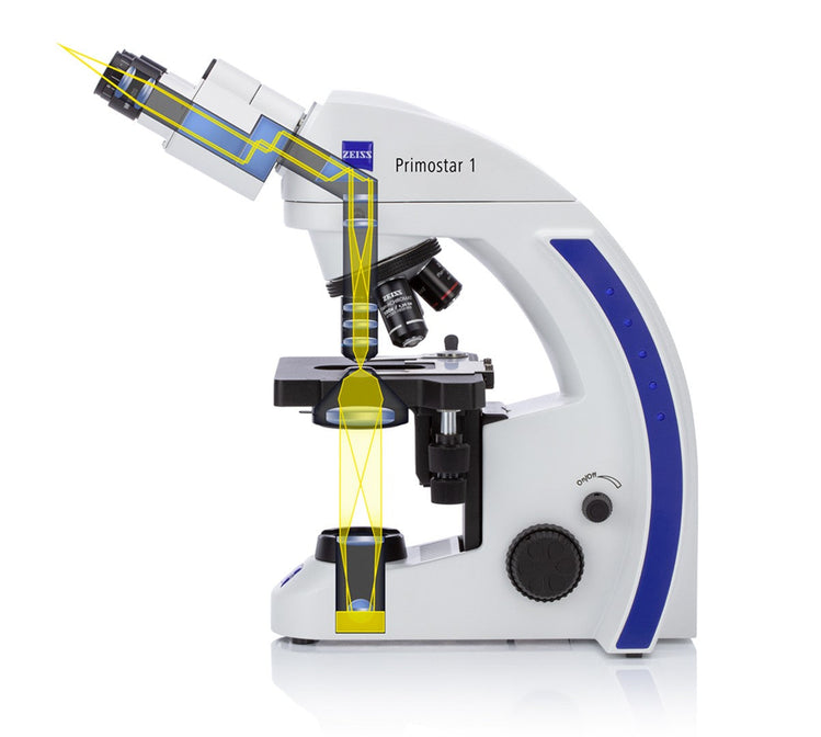 Why the ZEISS Primostar 1 is the Best Microscope for Education & Routi ...