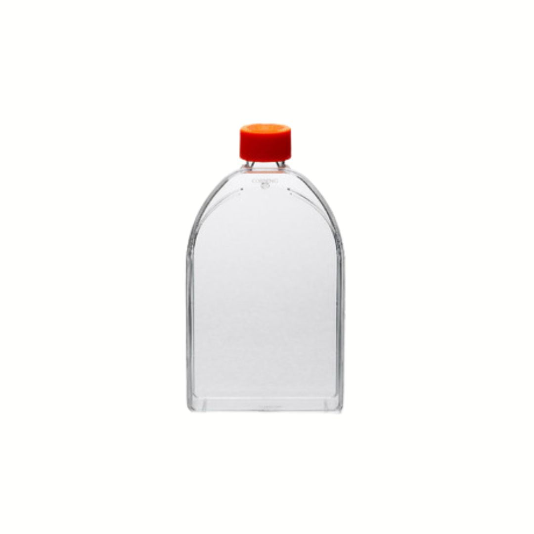 175cm² TC Flask, CellBIND, U-shaped, canted neck, vented cap, Corning ...