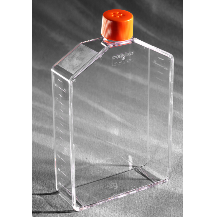 Tissue Culture Flasks, TC-Treated, Canted Neck, Corning – Appleton ...