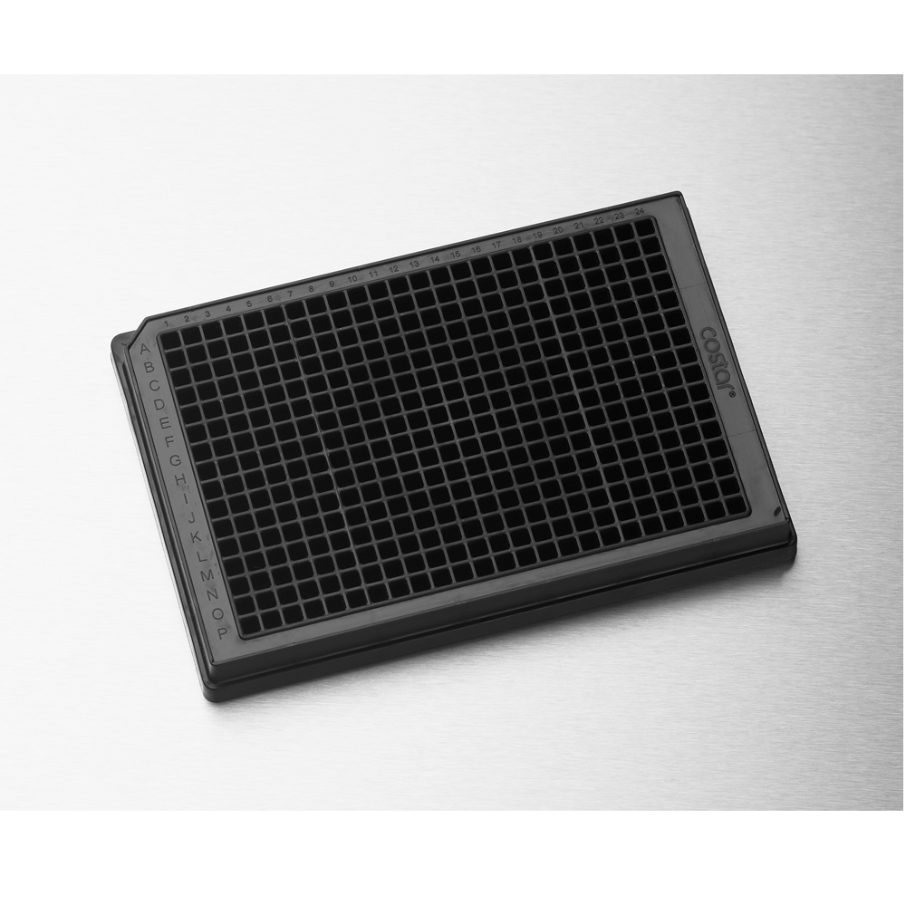 384 U Well PP Plates, non-sterile, Corning – Appleton Woods | UK Lab ...