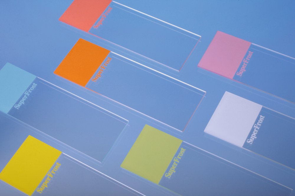 Superfrost Microscope Slides – Appleton Woods | UK Lab Supplies