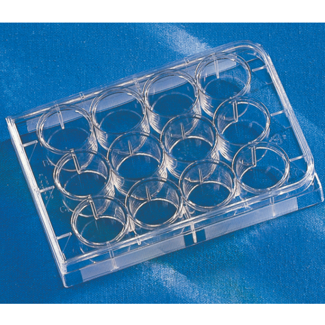 Multi-Well Plates, Untreated, Bulk Pack, Corning – Appleton Woods | UK ...