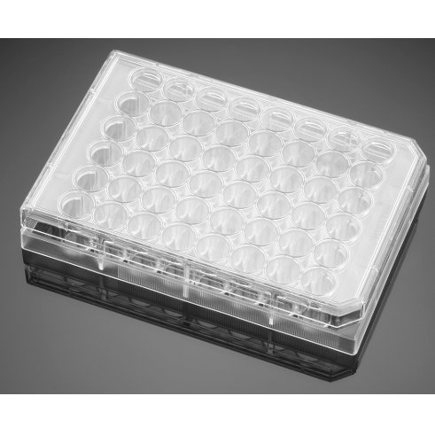 Falcon® 48 Well Clear Flat Bottom TC-Treated Multiwell Cell Culture Pl ...