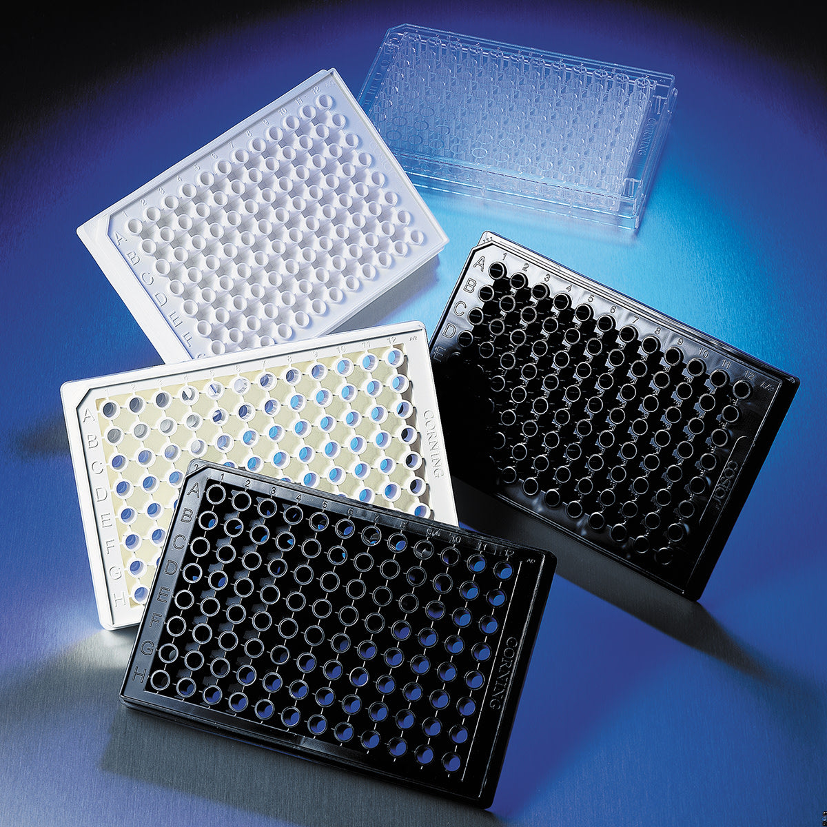 96 Well half area plate, black, NBS, non-sterile, Corning – Appleton ...