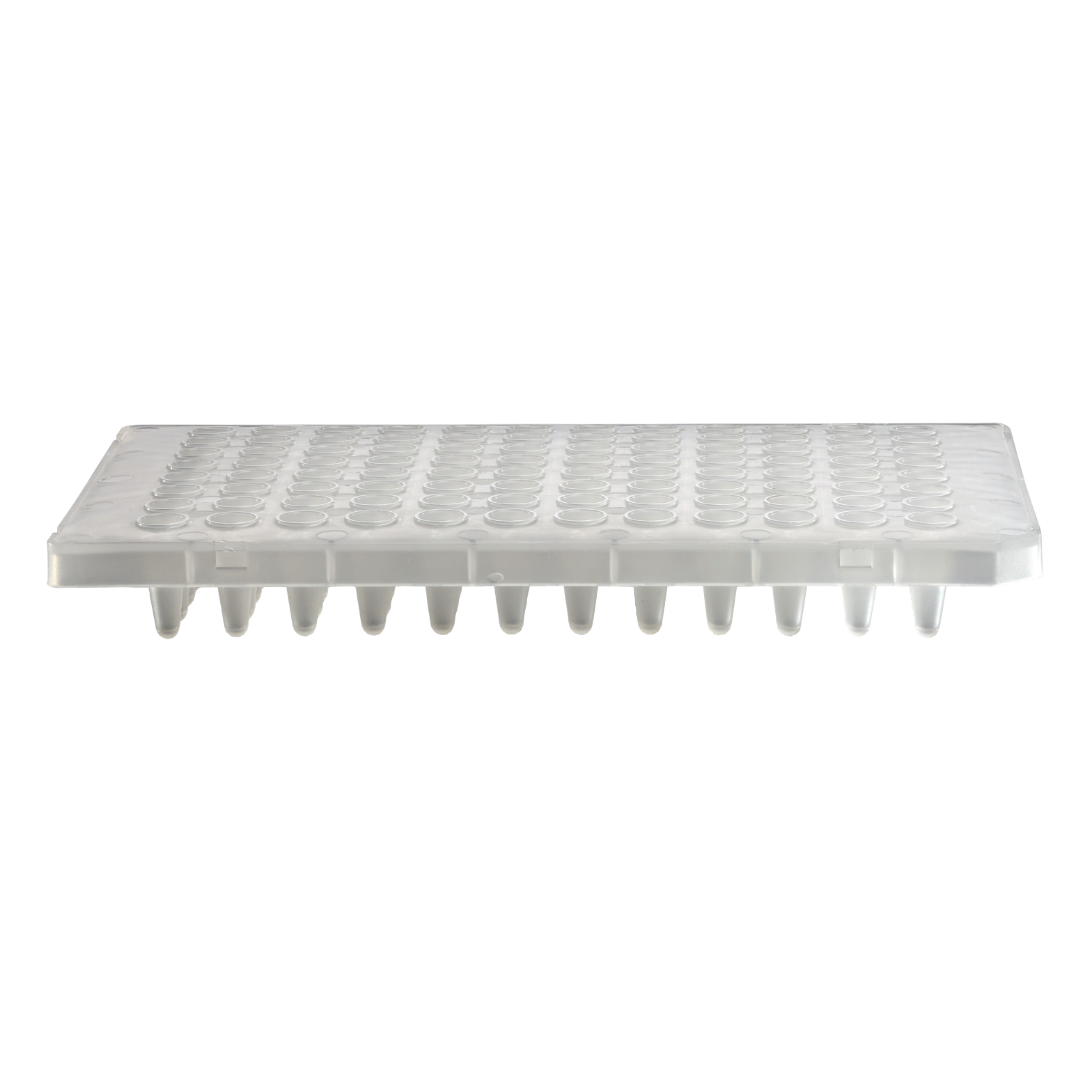 0.1ml Low Profile qPCR 96 well plate (BioRad CFX, MiraDX) – Appleton ...