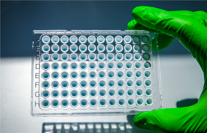 appGREEN Blue High ROX Mix – Appleton Woods | UK Lab Supplies