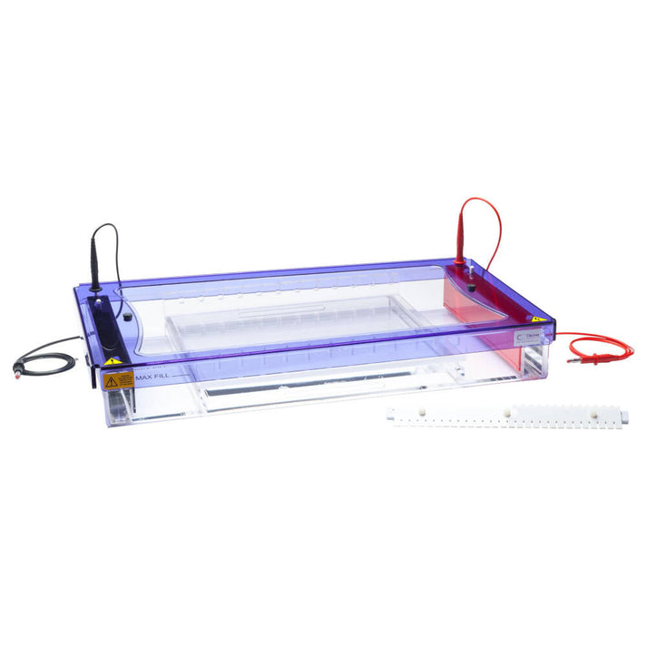 hPAGE Horizontal PAGE System with electrophoresis tank and tooth row c ...