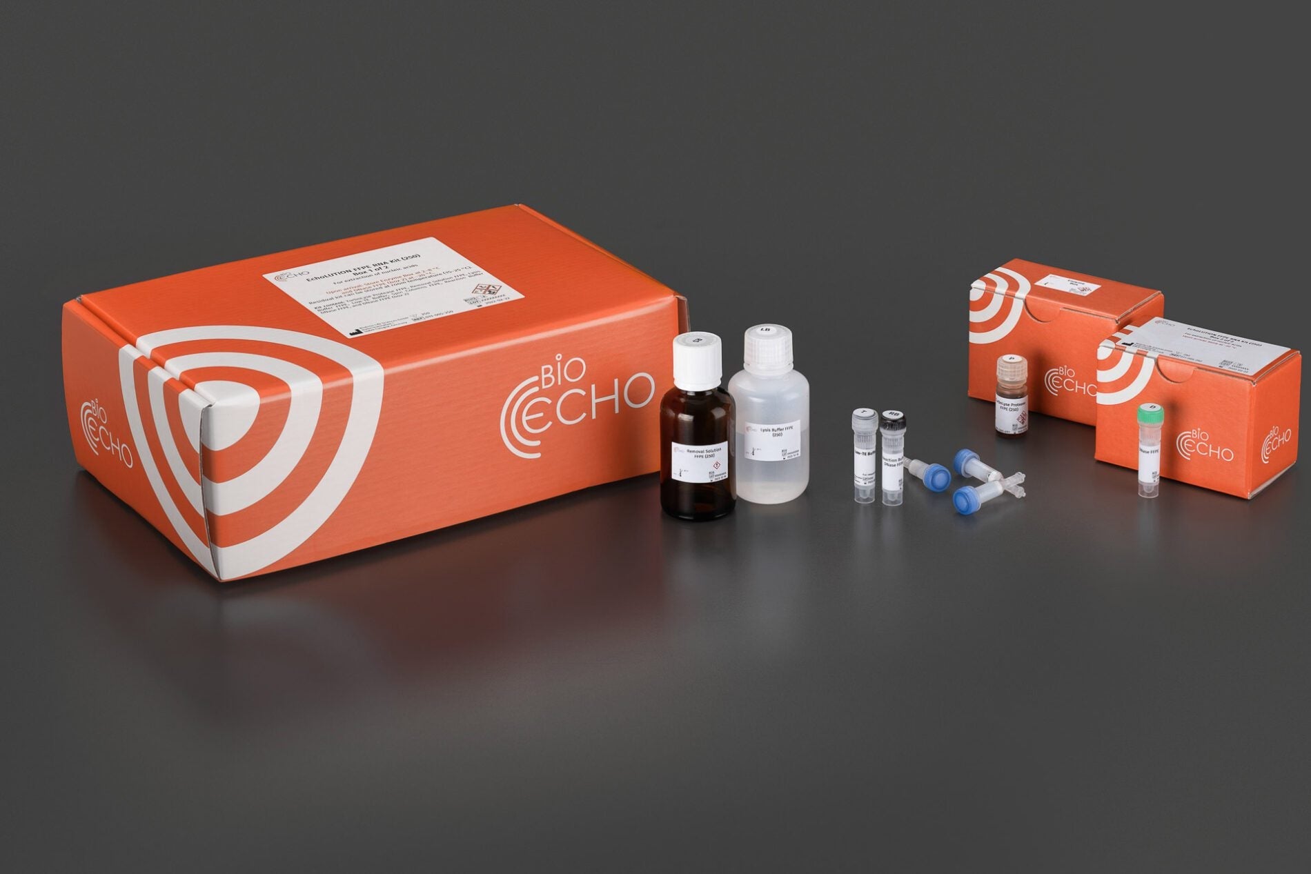 EchoLUTION FFPE RNA Kit, Bioecho – Appleton Woods | UK Lab Supplies