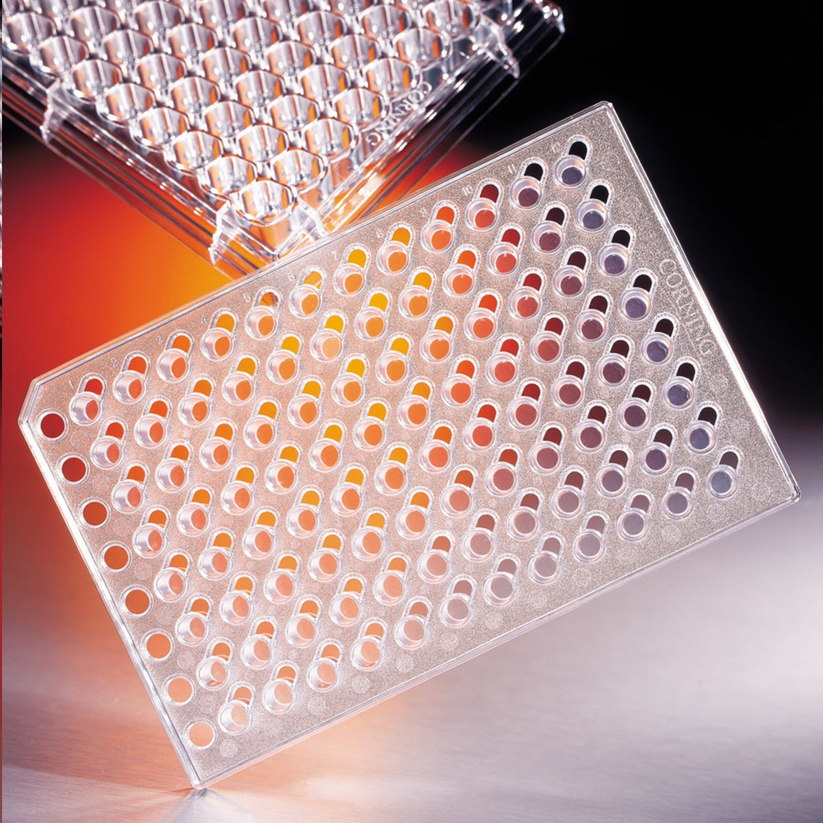 HTS Transwell?-96 Permeable Support with 8.0?m Pore Polyester Membrane ...