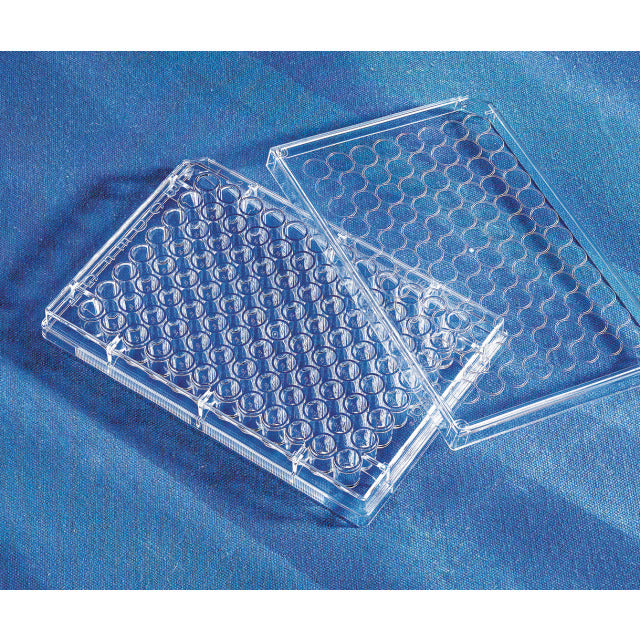 96 Well Clear Round Bottom PP Untreated Microplate, Corner Notch ...