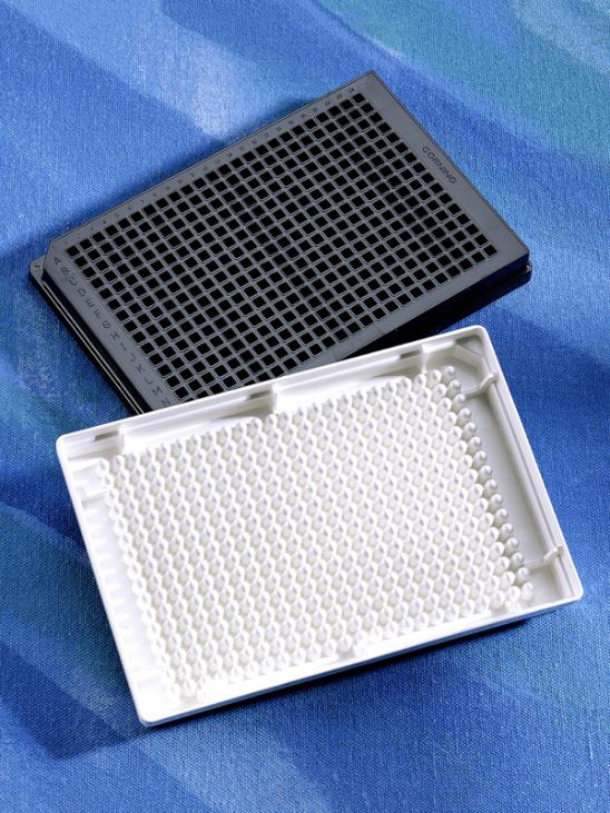 Corning® 384 Well Plate, Low Volume, White, NBS, U-Bottom, Without Lid ...