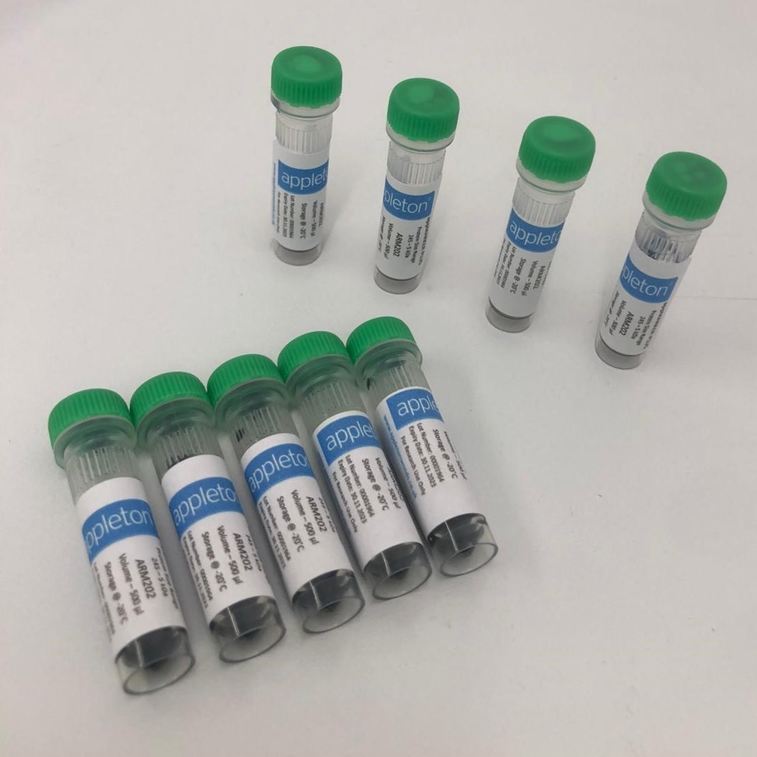 appMARKER Plus Protein Ladder – Appleton Woods | UK Lab Supplies