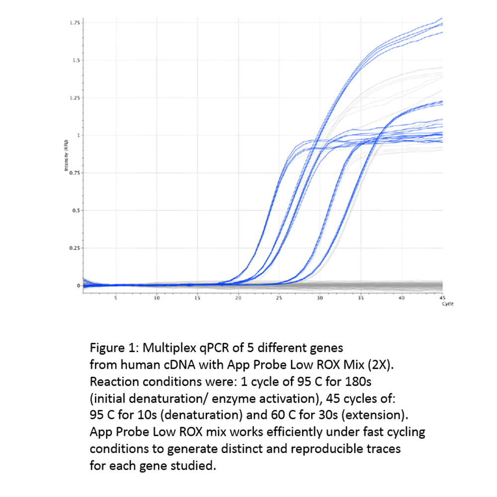 appPROBE 1-Step Opti Low ROX Kit sample (100 reactions) – Appleton ...