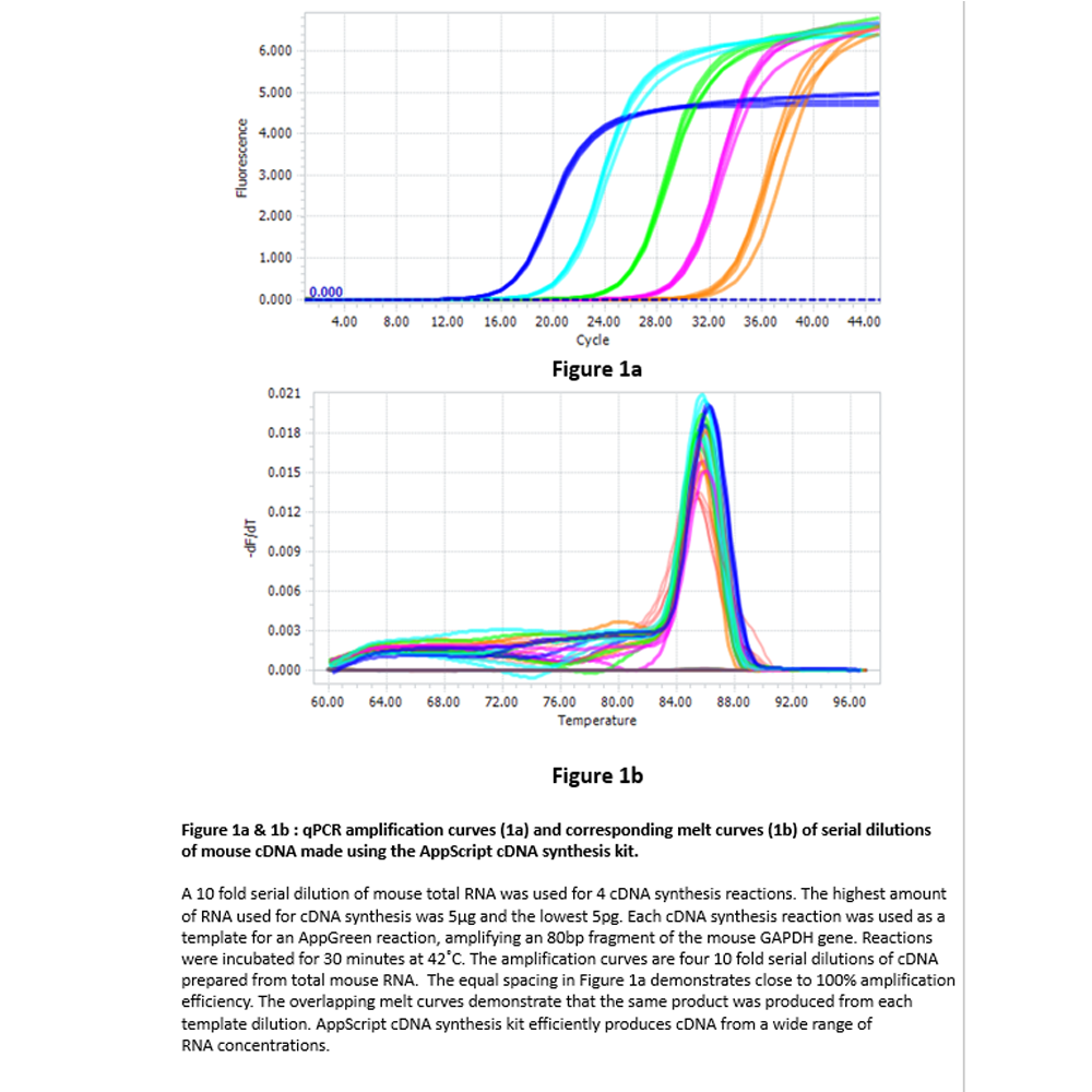 appSCRIPT cDNA synthesis kit – Appleton Woods | UK Lab Supplies