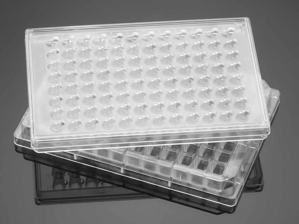Corning® FluoroBlok‚¬ž¢ HTS 96 Well Multiwell Permeable Support System ...