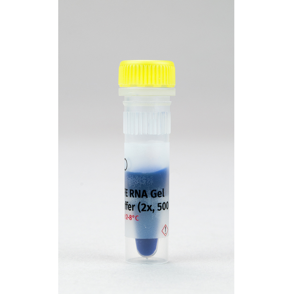 EchoSAFE RNA Gel Loading Buffer, 500 µl, Bioecho – Appleton Woods | UK ...