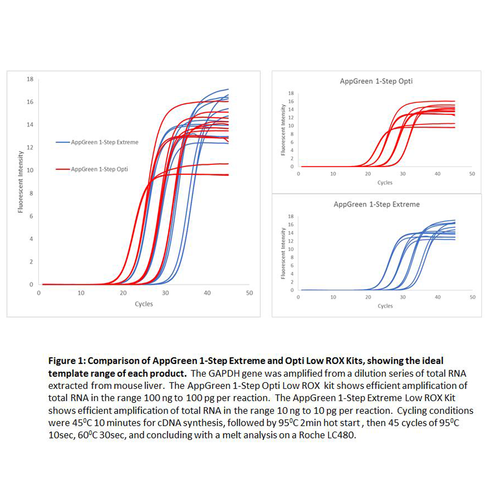 appGREEN 1-Step Extreme Low ROX RT-qPCR Kit – Appleton Woods | UK Lab ...