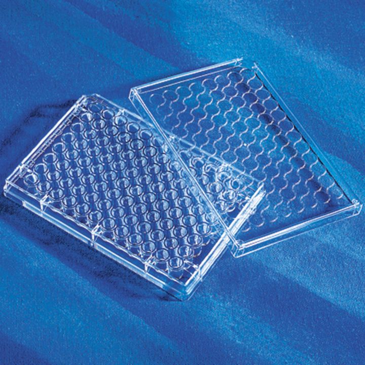 96 well half area plate, TC, sterile, Corning – Appleton Woods | UK Lab ...